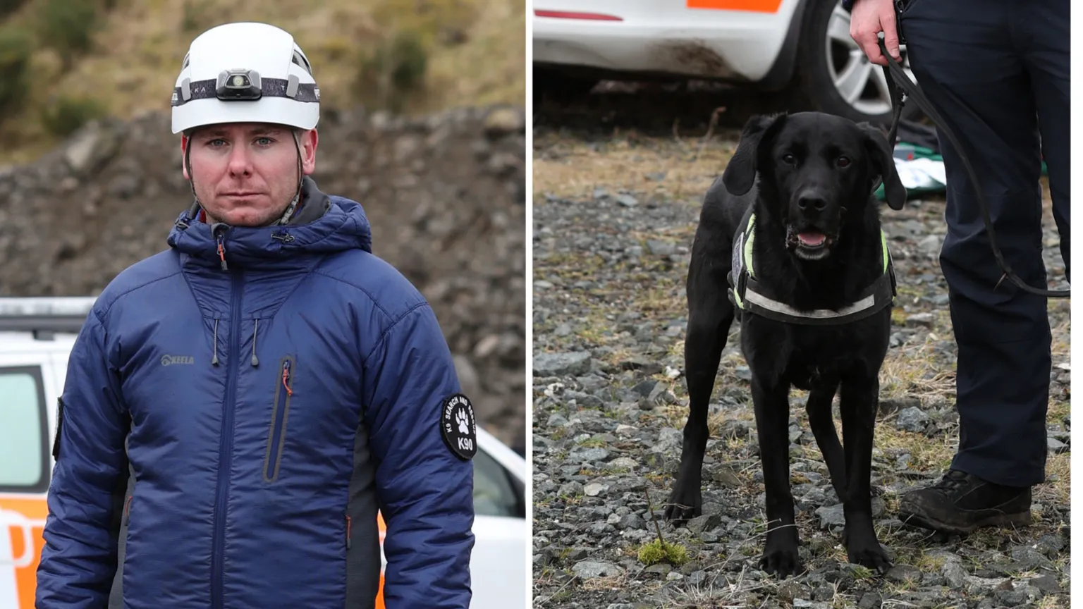 Four Teenagers Charged After Assault on Rescue Volunteer and Dog | The ...